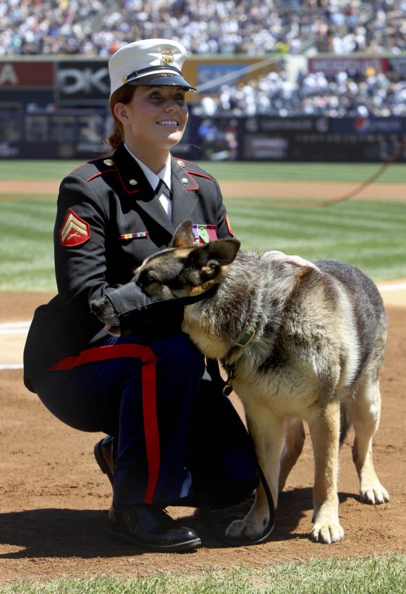 Honors For Iraq Vet K 9 Portrayed In Film Megan Leavey Breitbart