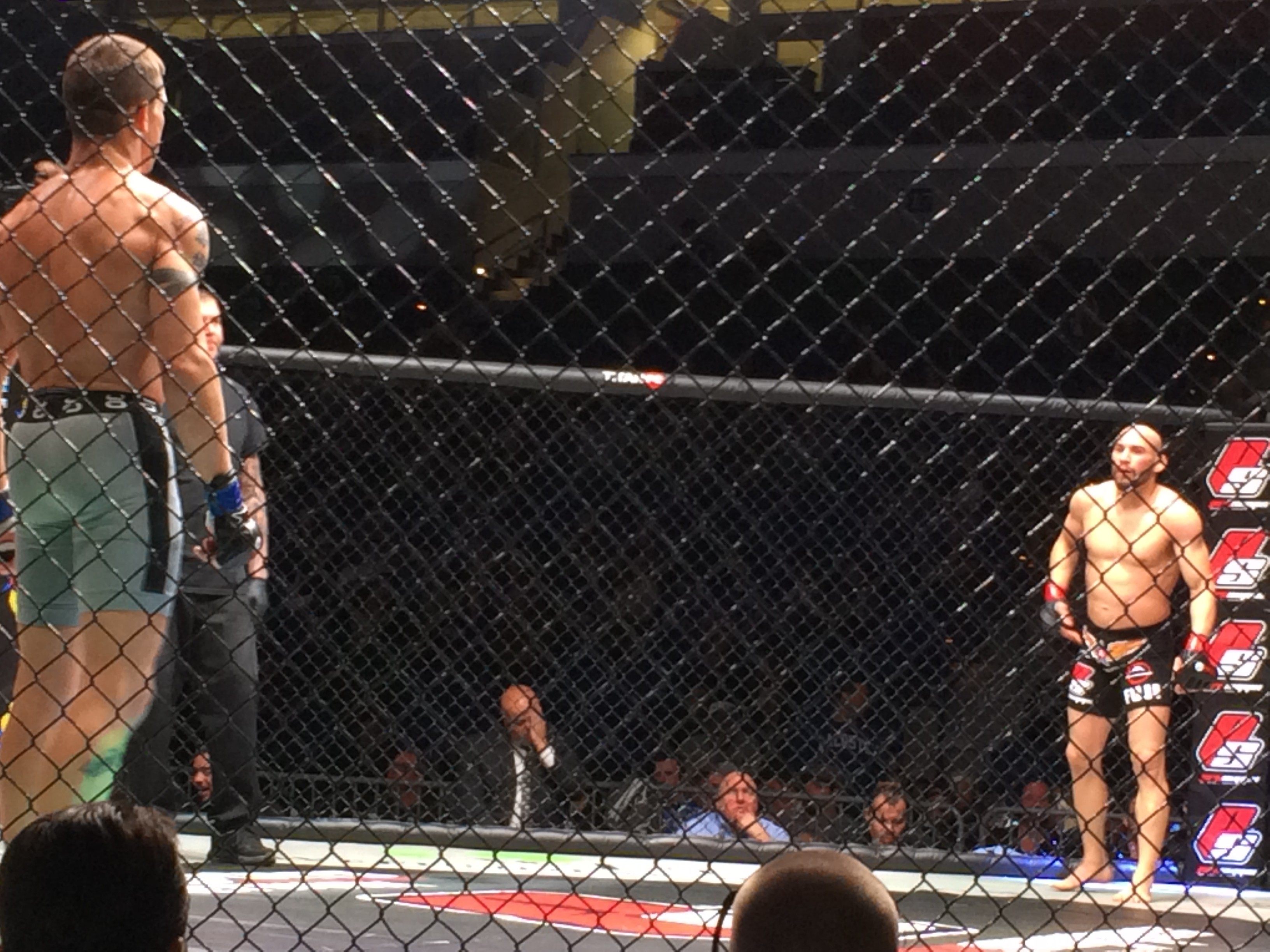 MMA Foe Sheldon Silver Squares Off with Scarier Three-Letter Entity ...