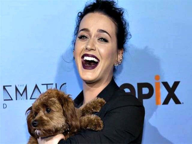 Katy Perry Accidentally Tweets her Cell Phone Number to 86M