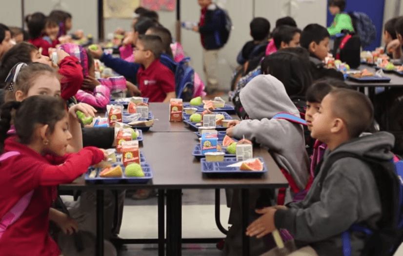 Ag Commissioner’s Plan to Reduce Texas Child Obesity and Return Local ...