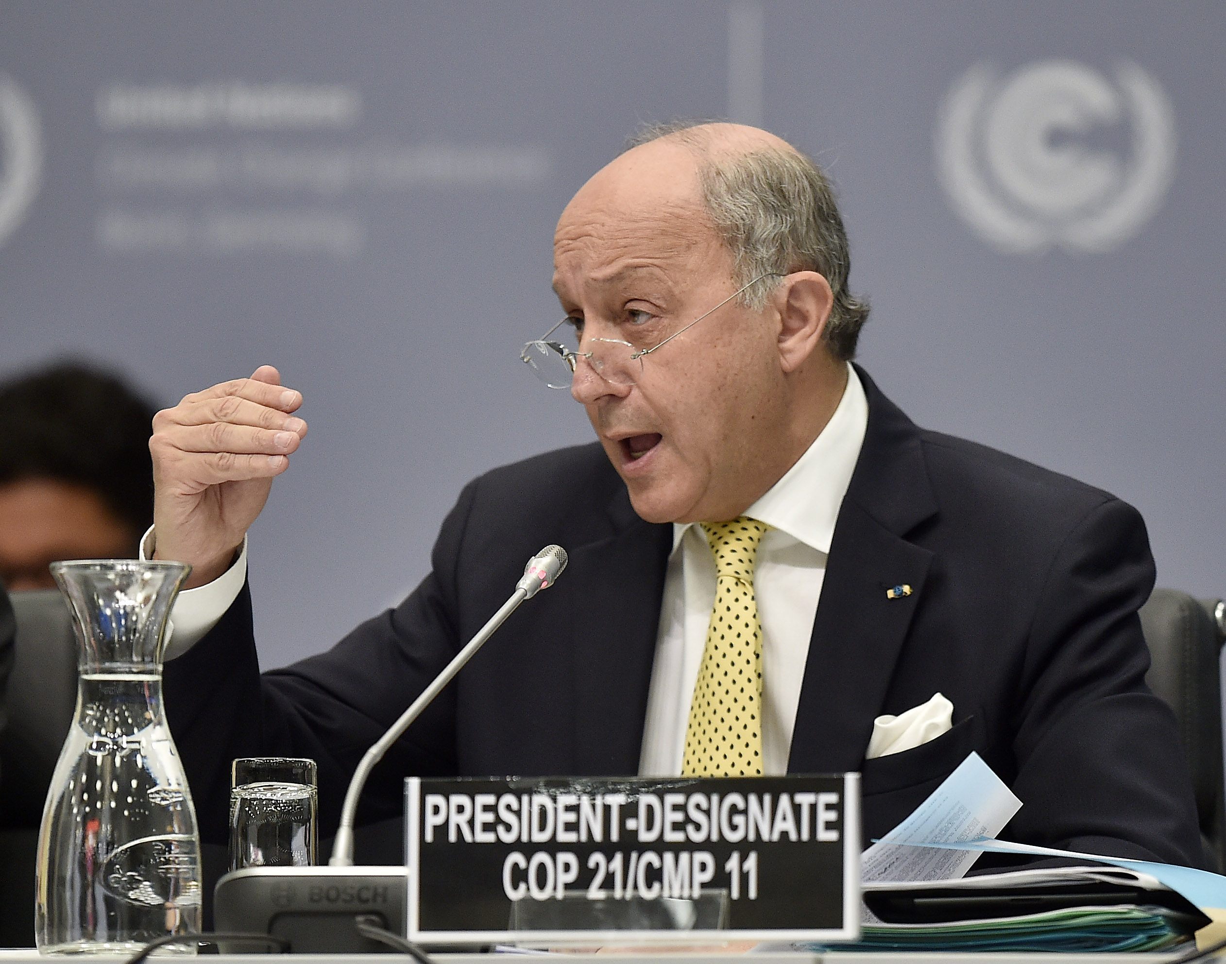 French minister: 2015 climate deal must avoid US Congress - Breitbart