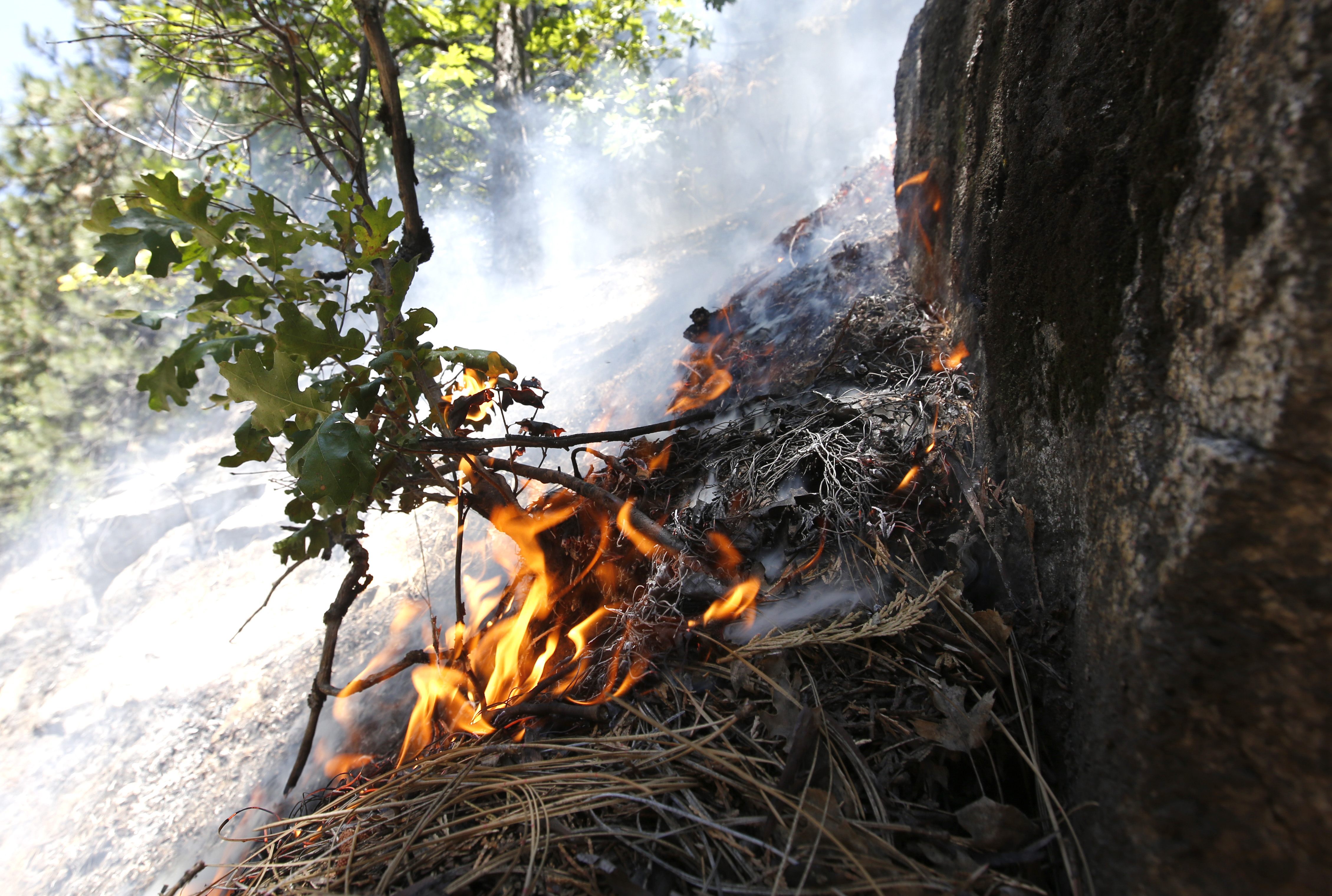Firefighters Battle Damaging Blazes in California, Nevada
