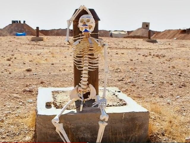 Iraqi Kurdish Leader: Peshmerga Could Liberate Raqqa