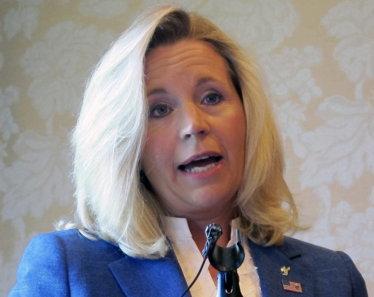 Liz Cheney to Run for Congress Again