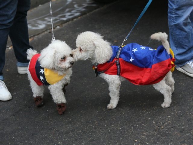 Venezuelans Using Animal Drugs as 85% of Pharmacies Short