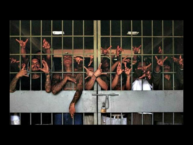 ICE Arrests More than 1,100 Criminal Gang Members: Majority Associated ...