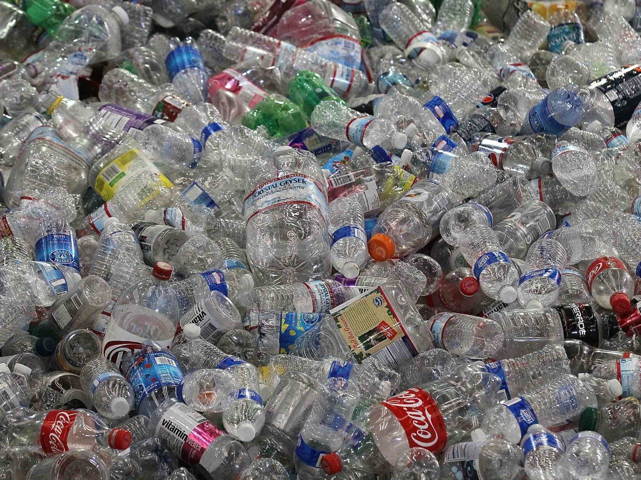 San Francisco's Pier 96 Among World's Recycling Elite