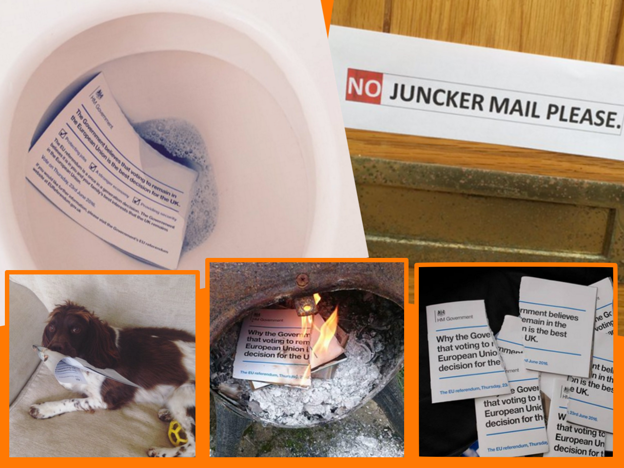 The 11 Best Ways Britons Are Dumping David Cameron's £9M Pro-EU ...