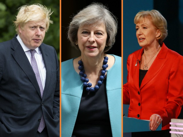 Your Comprehensive Guide To Who Definitely The Next Conservative Leader ...
