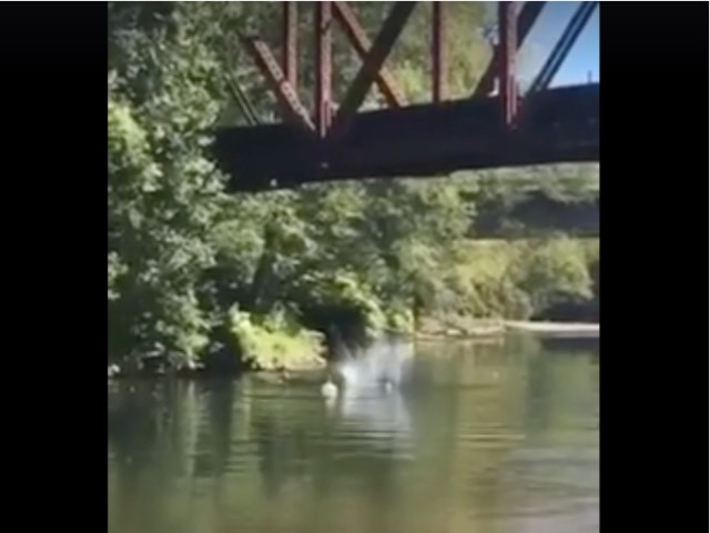 Watch: Four-Year-Old Gets Thrown Off a Bridge Into River