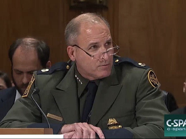 Former Acting Cbp Commissioner Dhs Secretary Must Go