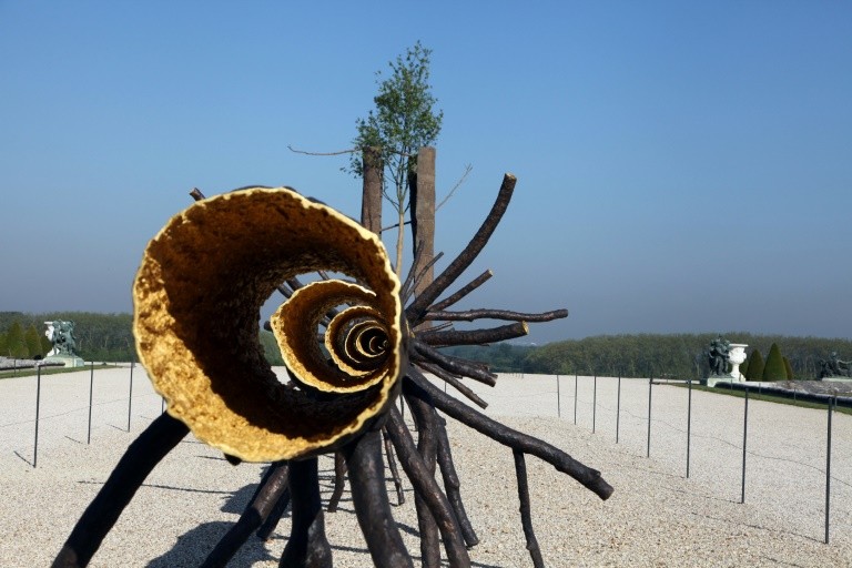 Penone's trees planted in Rome's art landscape - Breitbart