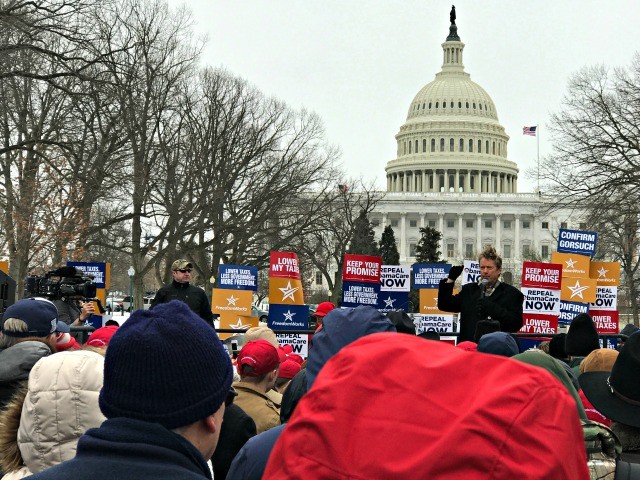 Hundreds Of Tea Party Activists Brave Cold Winds To Demand Repeal Of