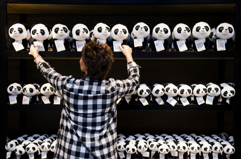 Dutch panda mania as giant bears arrive from China - Breitbart