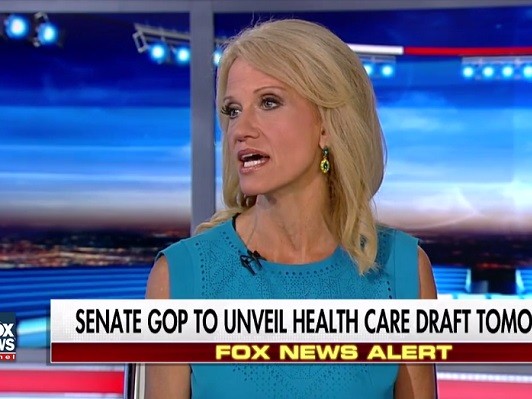 Kellyanne Conway: Media, Democrats Have a 'Russian Concussion'
