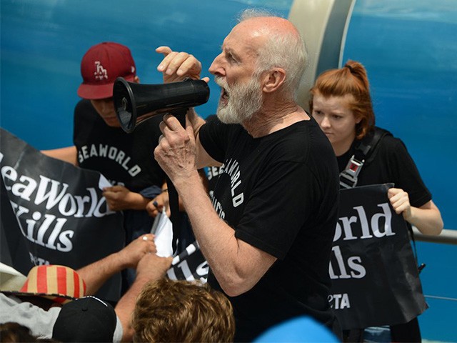 James Cromwell Cited for Trespassing During PETA SeaWorld Protest
