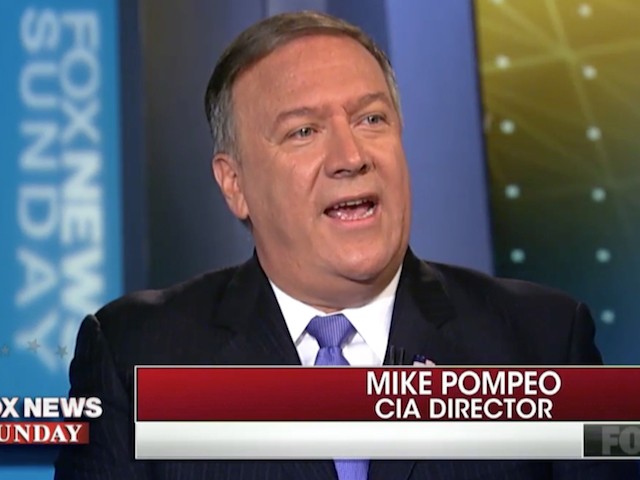 CIA Director Mike Pompeo: Iran, Hezbollah Are in Venezuela