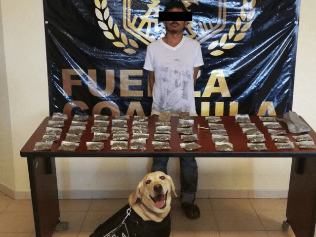 Mexican Police Dog 'Smiles' after Seizing Drug Load