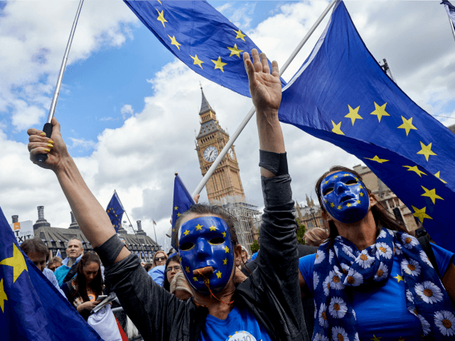PICS: 'March of the Remoaners' - Anti-Brexit Protesters Descend on London