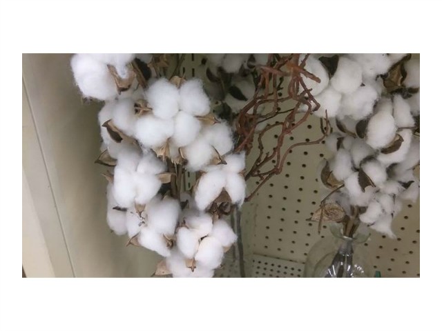 Woman Says Hobby Lobby's Cotton Display Insensitive Toward Blacks