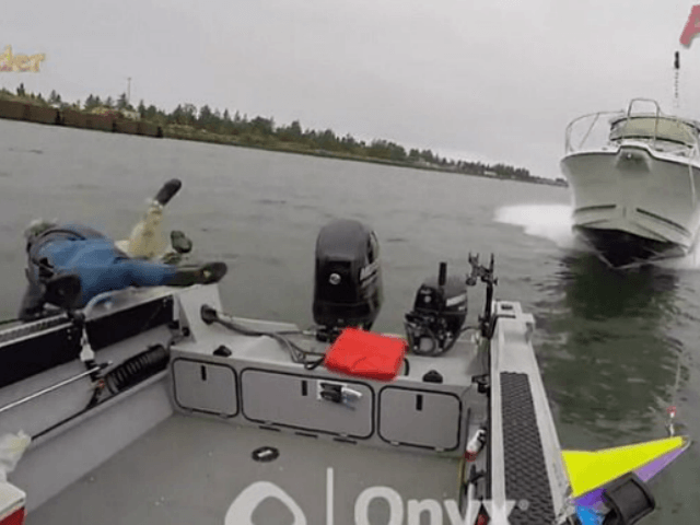 GoPro Camera Catches Dramatic Video of Motorboat Ramming Full Speed ...