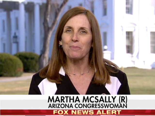 GOP Rep McSally: ‘Democrats Are Asking for the DREAM Act or Nothing ...