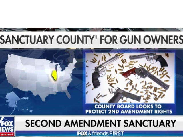 Illinois County Declares Itself a 'Sanctuary County' for Gun Owners
