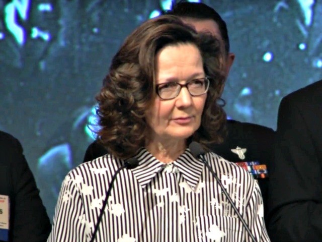 CIA Veteran Praises Gina Haspel Ahead of Confirmation Hearing