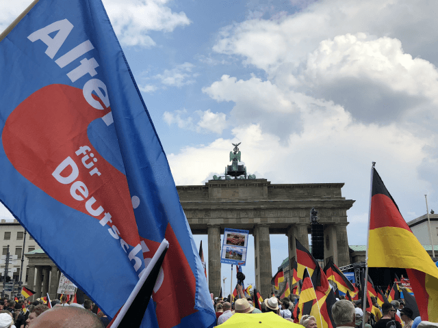Thousands Attend Berlin Alternative for Germany Populist Rally