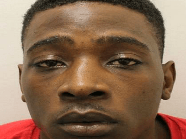 Man Jailed for Headbutting London Police Officer and Biting His Ear Off