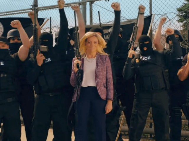 Former Acting ICE Director Slams Michelle Wolf's 'Repulsive' ICE-ISIS Video