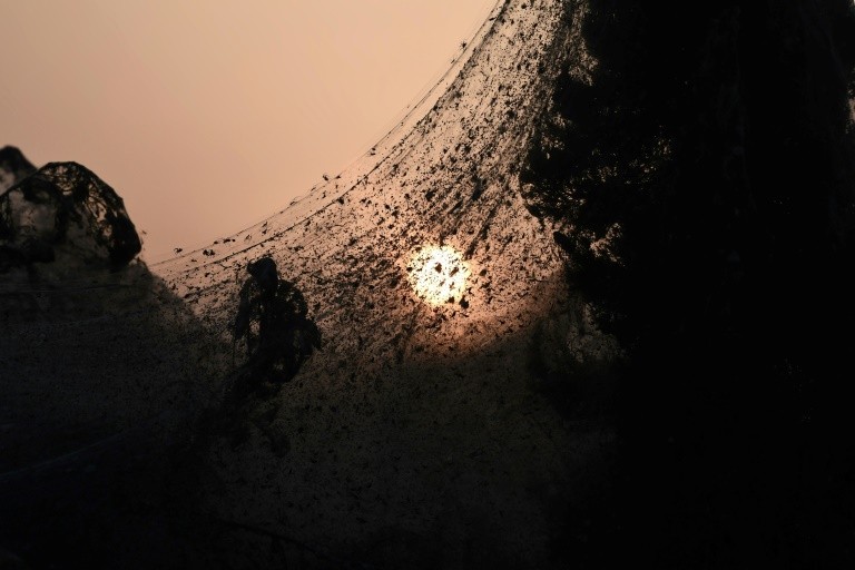 Spider swarm cloaks Greek lake in 1,000-metre web - Breitbart