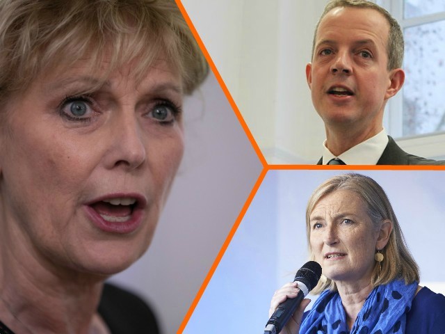 Tory Ultra-Remainers to Resign from Party if Govt Pursues 'No Deal' Brexit