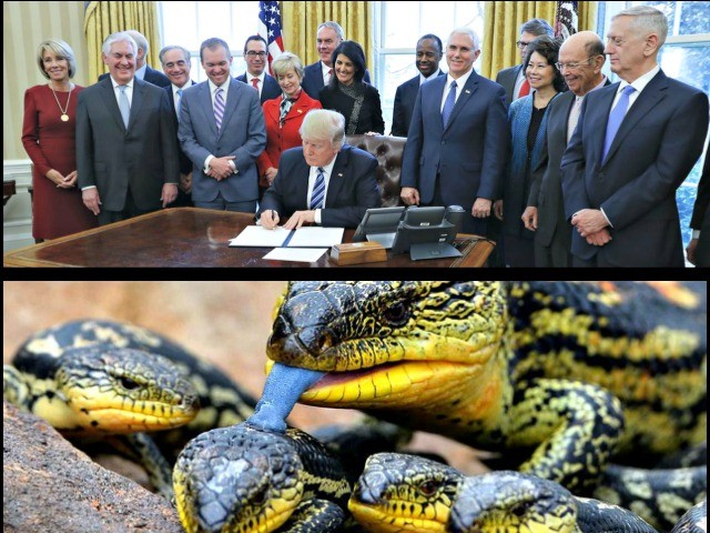 Trump's Enemies List: Insider Book Recounts Exposing Sleeper Cells