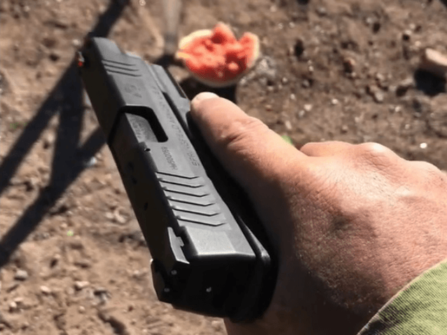 Springfield Armory XD(M) 10mm: A Polymer Hunter for Every Day Carry