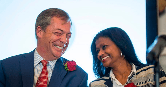Farage: EU Elections Will Be Used to Oust 'Remainer Parliament'
