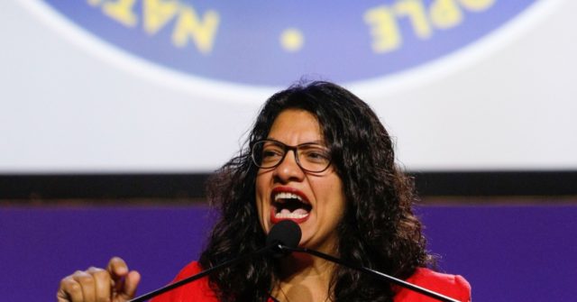 Tlaib 'Proud' of Activists Protesting Illegal Immigrant Deportations