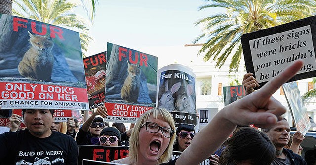 California Considers Controversial Fur Ban