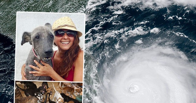 Hurricane Dorian: Woman in Bahamas Saved 97 Dogs Ahead of Landfall
