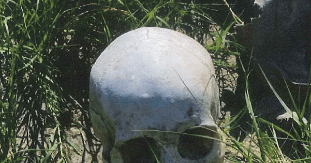 Skeletal Remains of Migrants Found on Ranches near Texas Border