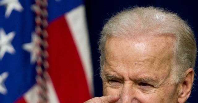 Joe Biden Pivots to Gun Control In Wake of Ukraine Scandal