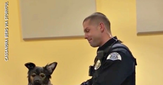 Police Officer Fights Back Tears at Tribute to Fallen K9