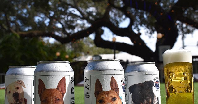 Florida Brewery Features Adoptable Dogs on Beer Cans