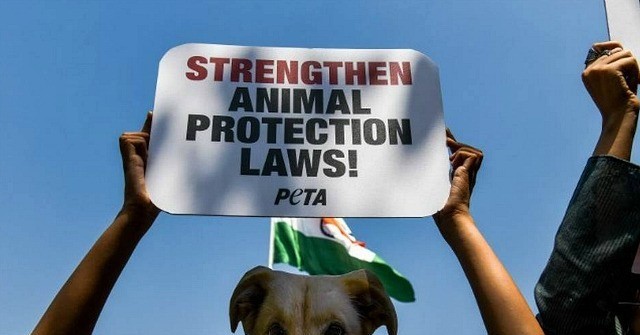 PETA Protests Outside Westminster Dog Show
