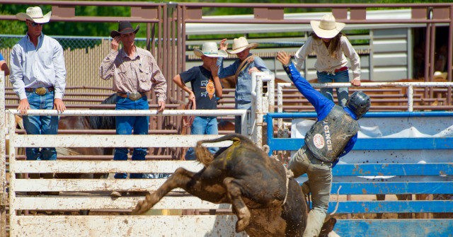 Report: Houston Rodeo Likely to Close Due to Coronavirus Concerns