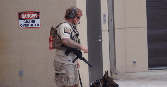 'No Ordinary Dog': Story of Navy SEAL's Dog from Bin Laden Raid