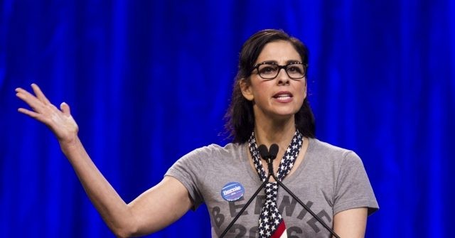Sarah Silverman Joins Democrats Using Coronavirus to Push 'Vote at Home ...