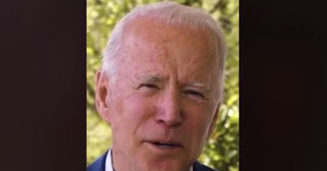 Joe Biden Compliments ‘Andrew Young’ Yang in Snapchat Interview