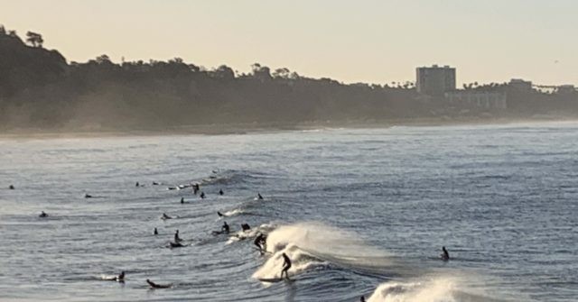 Surf's Up as Los Angeles County Beaches Reopen for Recreation