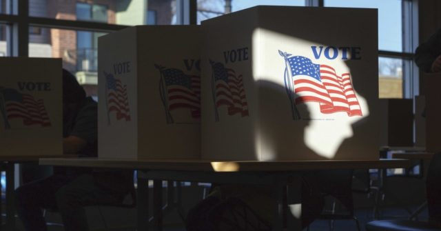 Fact Check: Unclear Whether Michigan Can Send Unsolicited Vote by Mail ...